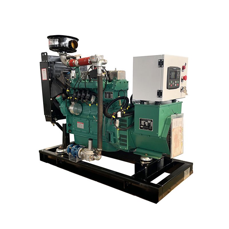Industrial Gas Generator