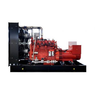 Natural Gas Generator Set