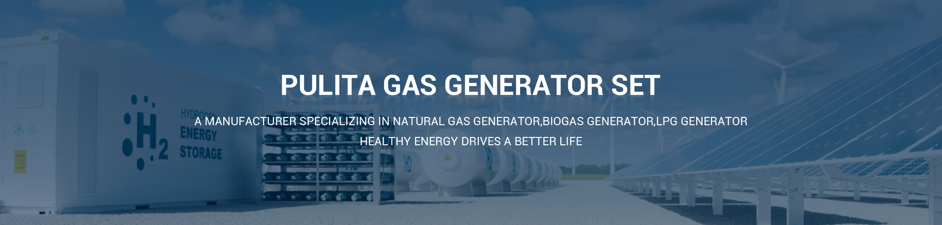 Natural Gas Generator Set Natural Gas Generator Set